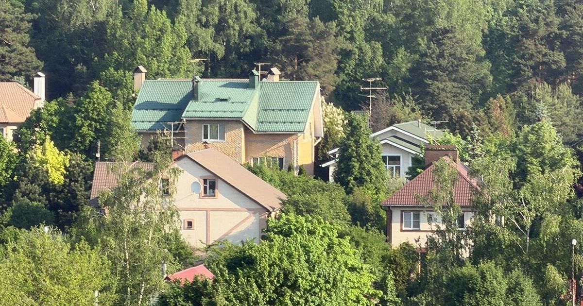 Подмосковье — лидер загородного отдыха: названы тренды аренды домов и ...